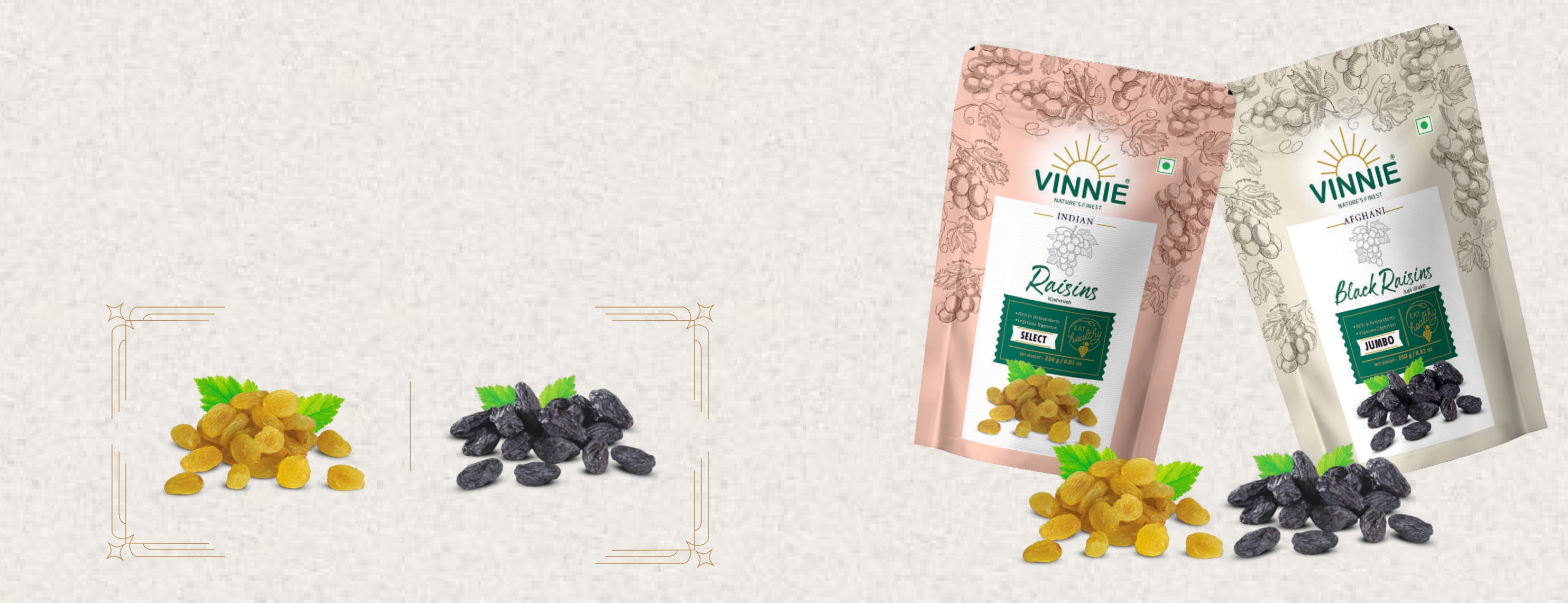 Vinnie Nutworld Private Limited